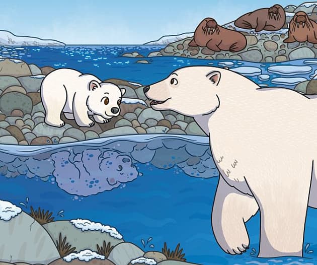 Polar Regions Children’s Books from Twinkl Originals