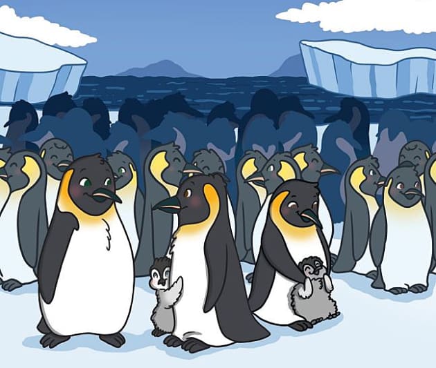 Polar Regions Children’s Books from Twinkl Originals