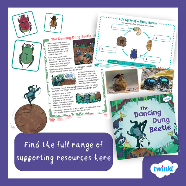 May Book Review - Twinkl