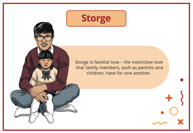 The Different Types of Love Display Pack | Beyond RSE