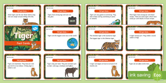 Interesting Tiger Facts for Kids - Twinkl Blogs - Twinkl