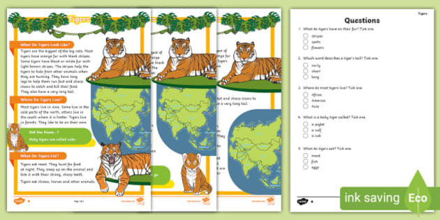 Interesting Tiger Facts for Kids - Twinkl Blogs - Twinkl