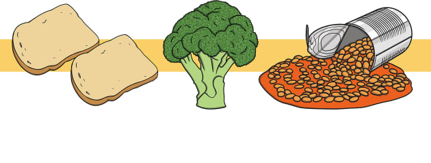 Top 10 Nutrition Facts for Kids - Twinkl Homework Help