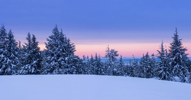 65 Winter-themed activities for middle school - Twinkl