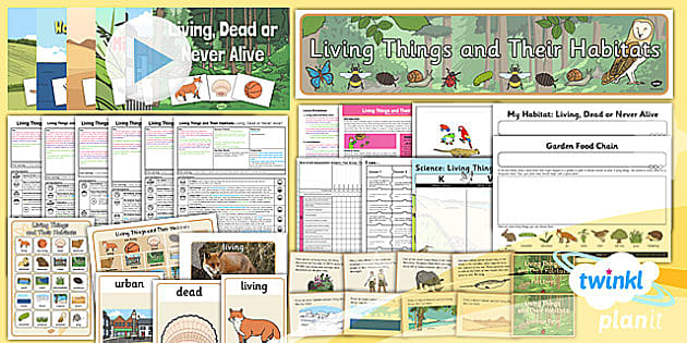 6 Cross-Curricular Ways Animal Workshops Can Help Your Planning