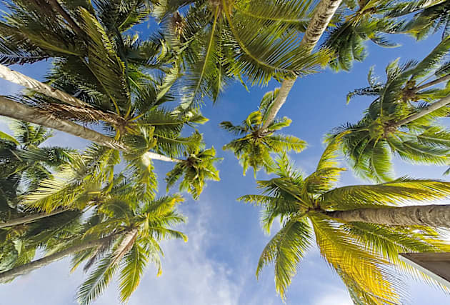 Cook Islands Facts for Kids | World Geography Guide - Twinkl Homework Help