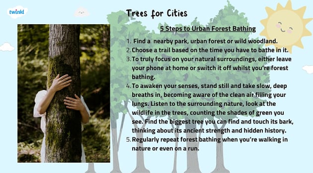 Twinkl Indoor & Outdoor Activities for Learning about Trees