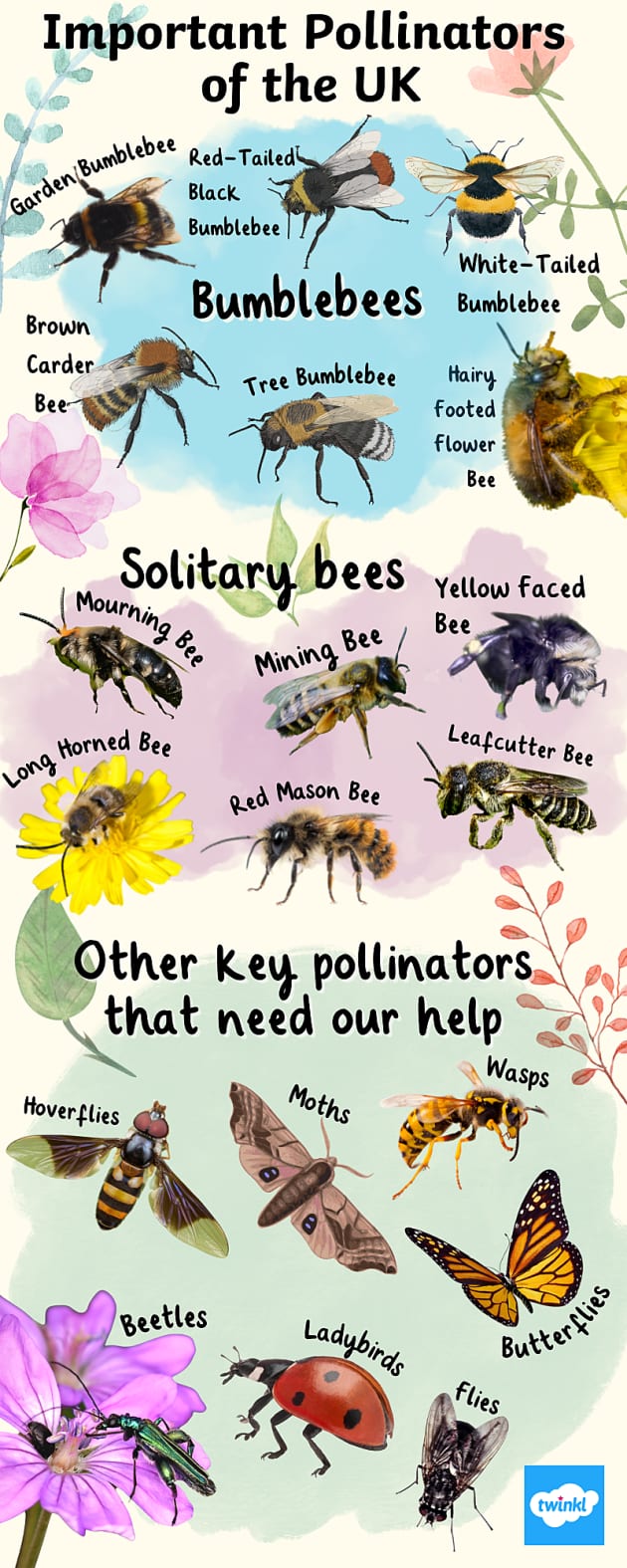 7 Easy Ways You Can Save the Bees and Pollinators