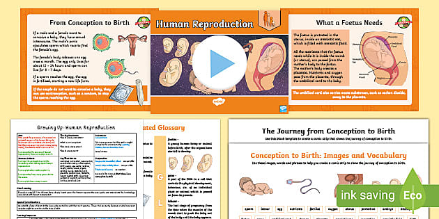 10 Sex Education Facts Parents Should Know - Twinkl Blog