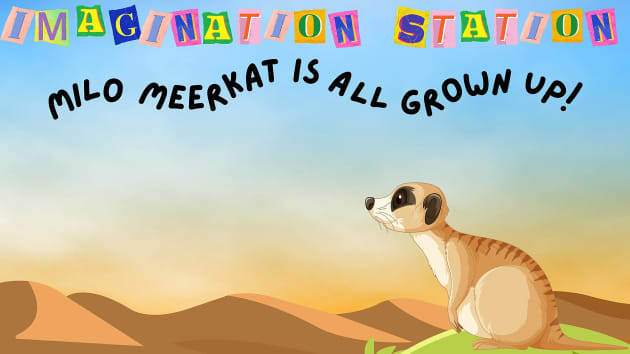 Imagination station animal adventures - Twinkl