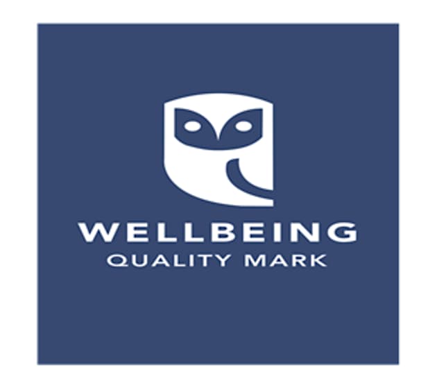 Promoting pupil wellbeing: A ‘Quality Mark’ for a cohesive school - Twinkl