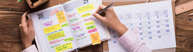 KS1 Digest: January Catch-Up 2024 - Twinkl Digest Education News