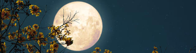 KS1 Digest: January Catch-Up 2024 - Twinkl Digest Education News