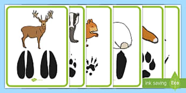 Outdoor Winter Activities For EYFS - Twinkl