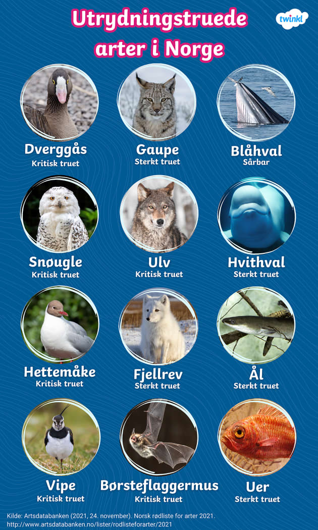 Hvordan kan vi bevare utrydningstruede arter og naturen?