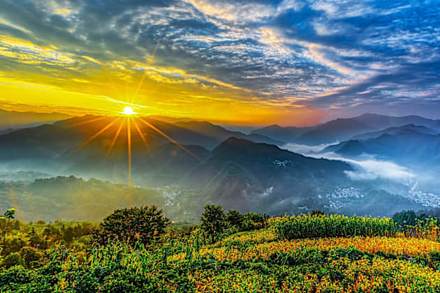 Iraq Facts for Kids | World Geography Guide - Twinkl Homework Help