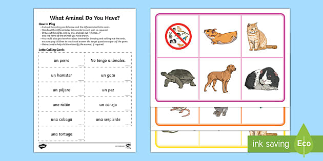 How Do We Say the Spanish Words for Pets?