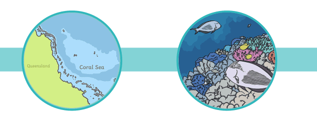 What is the Great Barrier Reef? - Twinkl Homework Help