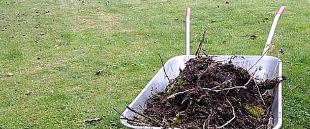 25 Terrific Team Building Activities for Kids | Twinkl USA