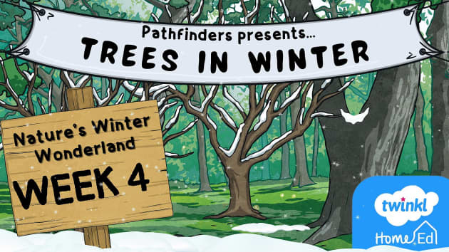 Pathfinders: Winter Wonderland - Twinkl