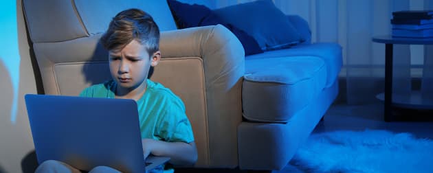Children from low-income families more likely to experience danger online