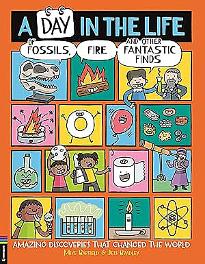 A Day in the Life of Fossils, Fire and Other Fantastic Finds: Amazing