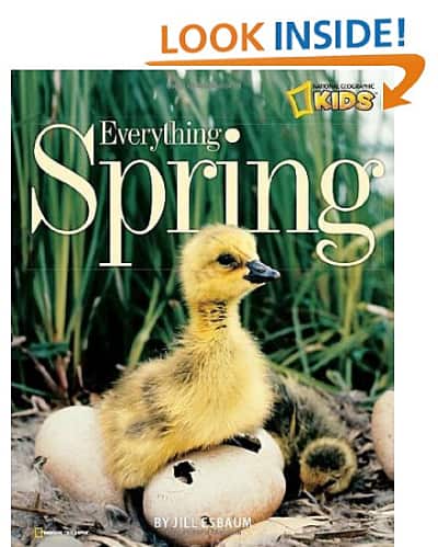 Everything Spring - Twinkl