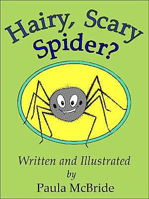 Hairy, Scary Spider? - book, teaching resources, story, cards, mat