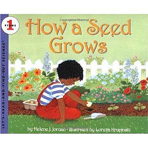 How a Seed Grows - book, teaching resources, story, card, mats, sequencing,