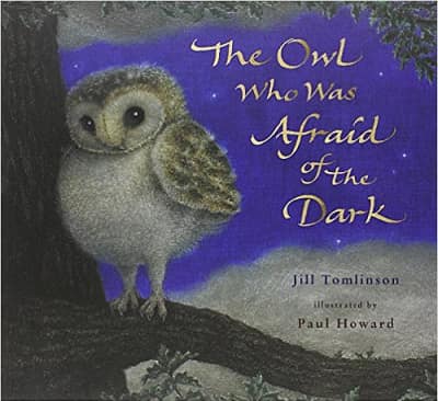 The Owl Who Was Afraid of the Dark - book, teaching resources, story ...