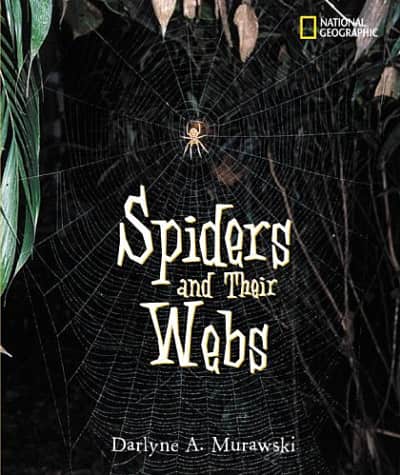 Spiders and Their Webs - Twinkl