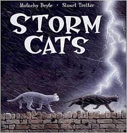 Storm Cats - Primary School Learning Resources, Book, Story