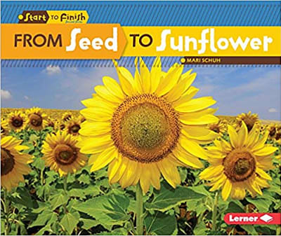 From Seed to Sunflower: a great KS1 topic book for your growth and life ...