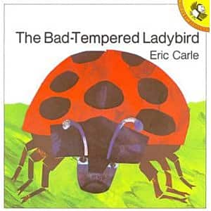 Our fantastic range of activities provides everything you will need to