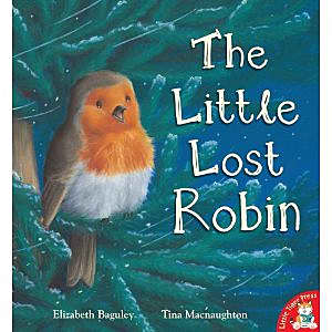 The Little Lost Robin - Twinkl