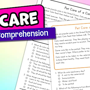 Second Grade Pet Care of a Cat Reading Passage Comprehension Worksheet