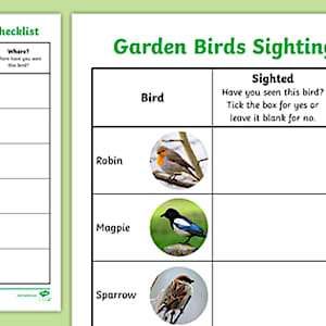 Bird Identification Worksheets | Identify Garden Birds