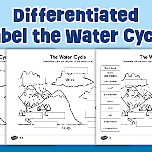The Water Cycle Differentiated Labeling Worksheet K-2