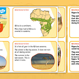 KS1 African Savanna Fact Cards