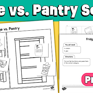Fridge vs. Pantry Sorting for Visual Comparison & Cutting