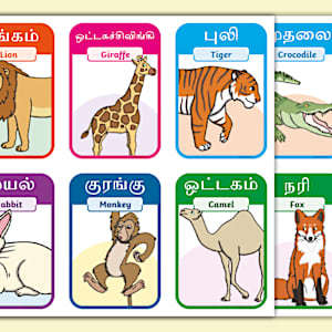 40 Animal Flash Cards in Tamil/English