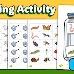 Bugs in a Jar Counting Activity