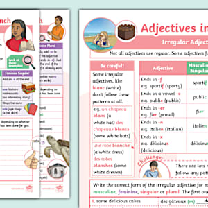 👉 French: Adjectives Activity Sheet