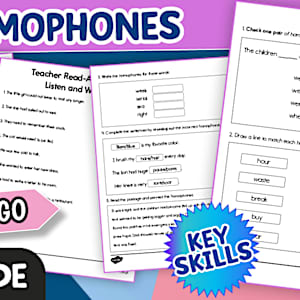 Second Grade Homophones Worksheets