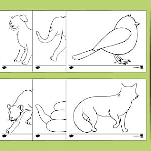 Animal Outline Templates - Animal Outlines For Kids - Twinkl