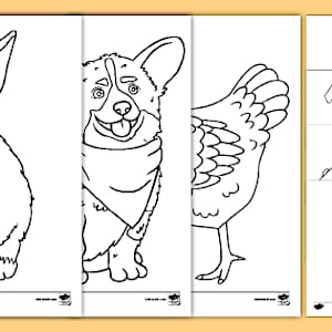 Pets Coloring Pages | Arts and Crafts | Twinkl USA - Twinkl