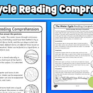 Third Grade The Water Cycle Reading Comprehension Worksheet