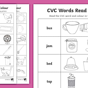 CVC Words Read and Colour Activity Sheet | Twinkl