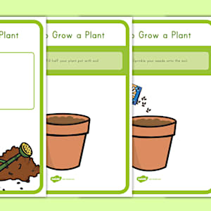 How to Grow a Plant Posters