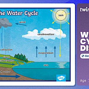 The Water Cycle | KS2 Display | 4 Stages of the Water Cycle